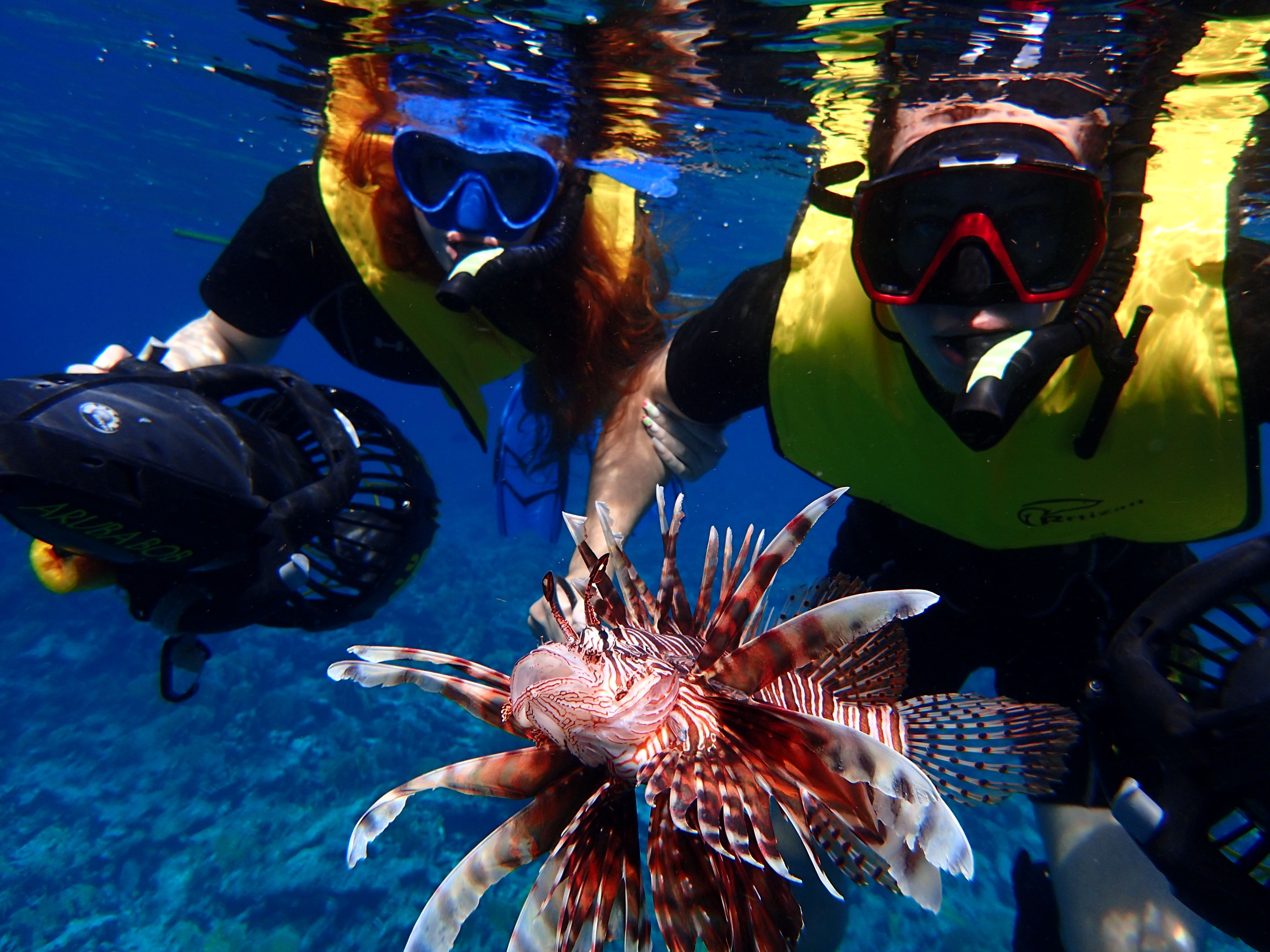 ALFI Lionfish Hunting Certification