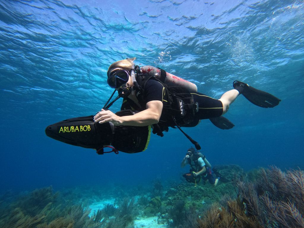 Aruba Bob - Book Now